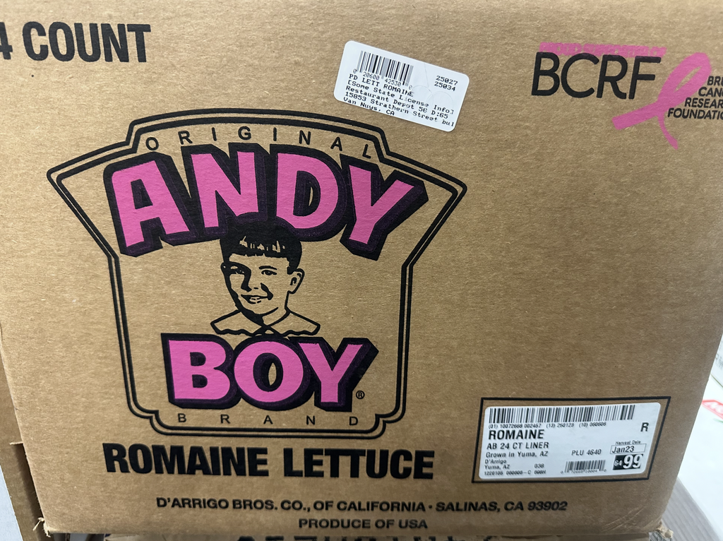 Romaine Lettuce - 24 ct Unit | MACH Foods